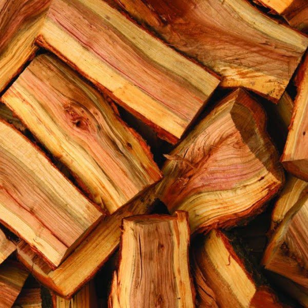 Captain s Logs Sooty The Sweep